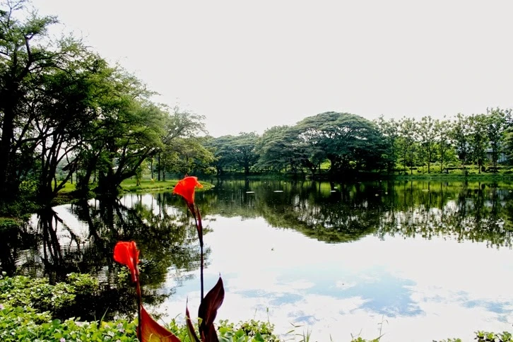 3 Spot Nongkrong Favorit Mahasiswa Unhas, dari Kansas hingga Danau! Ini ...