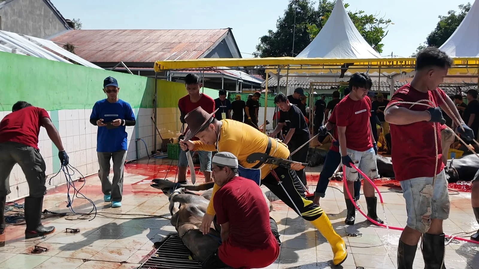 Sebelum Dibagi ke Warga, Ini Rangkaian Proses Kurban di Masjid Ikhtiar ...