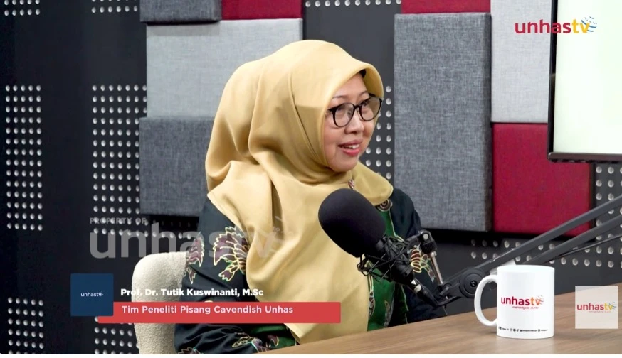 Inovasi Pisang Cavendish Unhas, Tahan Penyakit serta Dorong Peluang ...